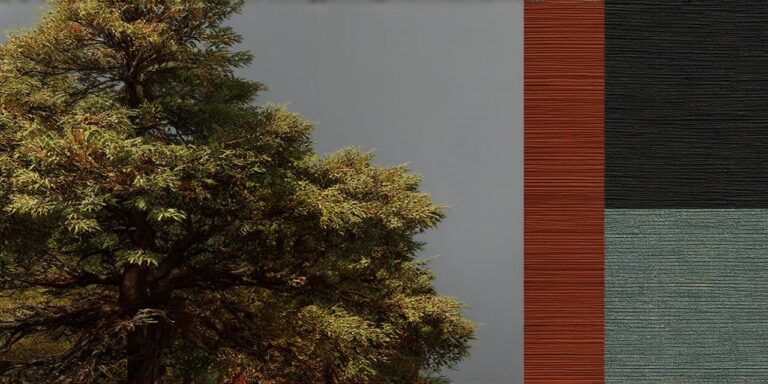 Understanding Assets in Unity 3D